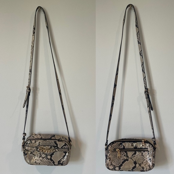 Steve Madden | Bags | Steve Madden X Jen Reed Snake Skin Crossbody ...